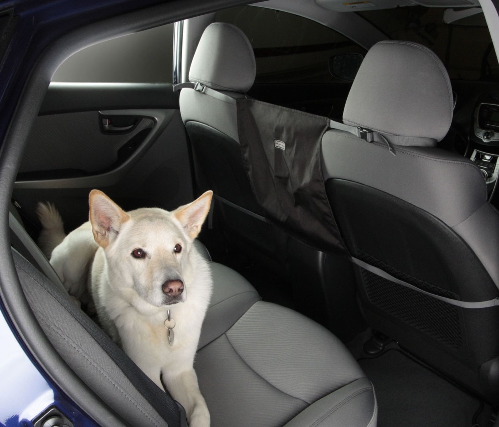 Auto Front Seat Dog Barrier by Outward Hound