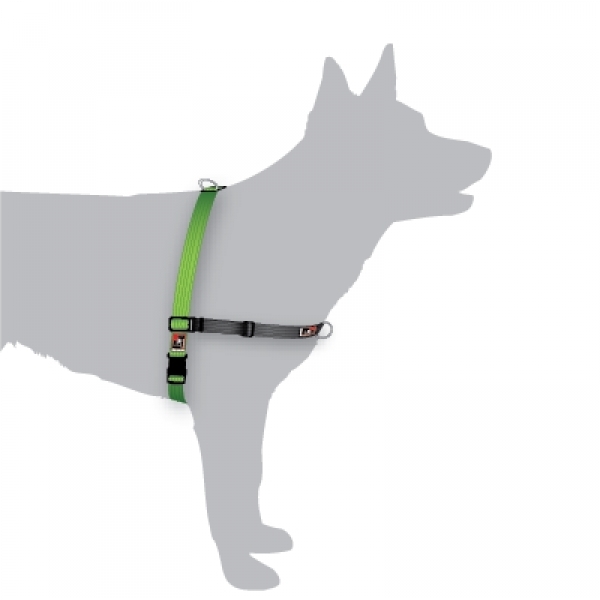 Dog harness for Walking | Sporn Easy Training Harness for Puppies